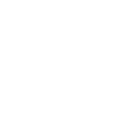 Digital Service Records Explained - Volks Autos : Volks Autos